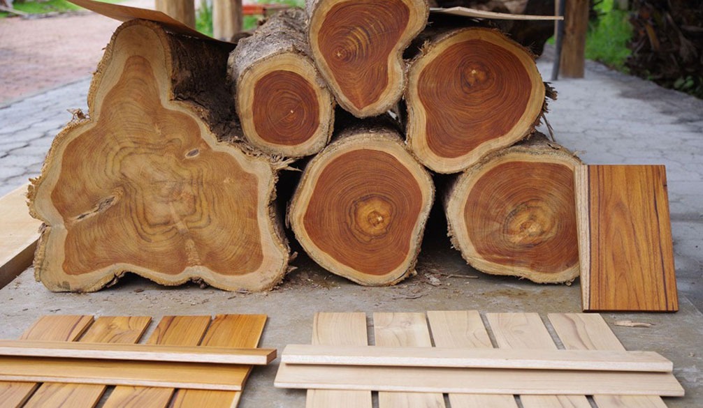 Wood Farm - Teak Farm Ecuador